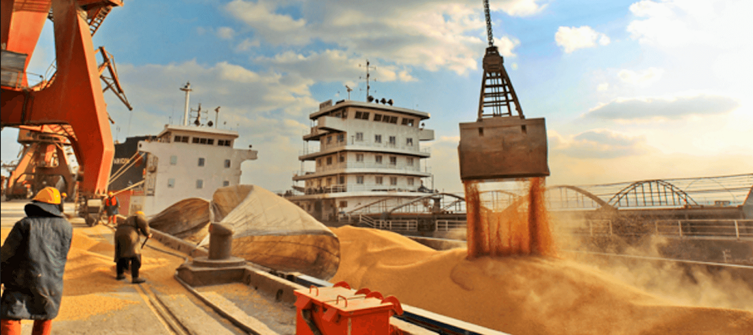 China May soybean imports hit record 12 million metric tons - DatamarNews